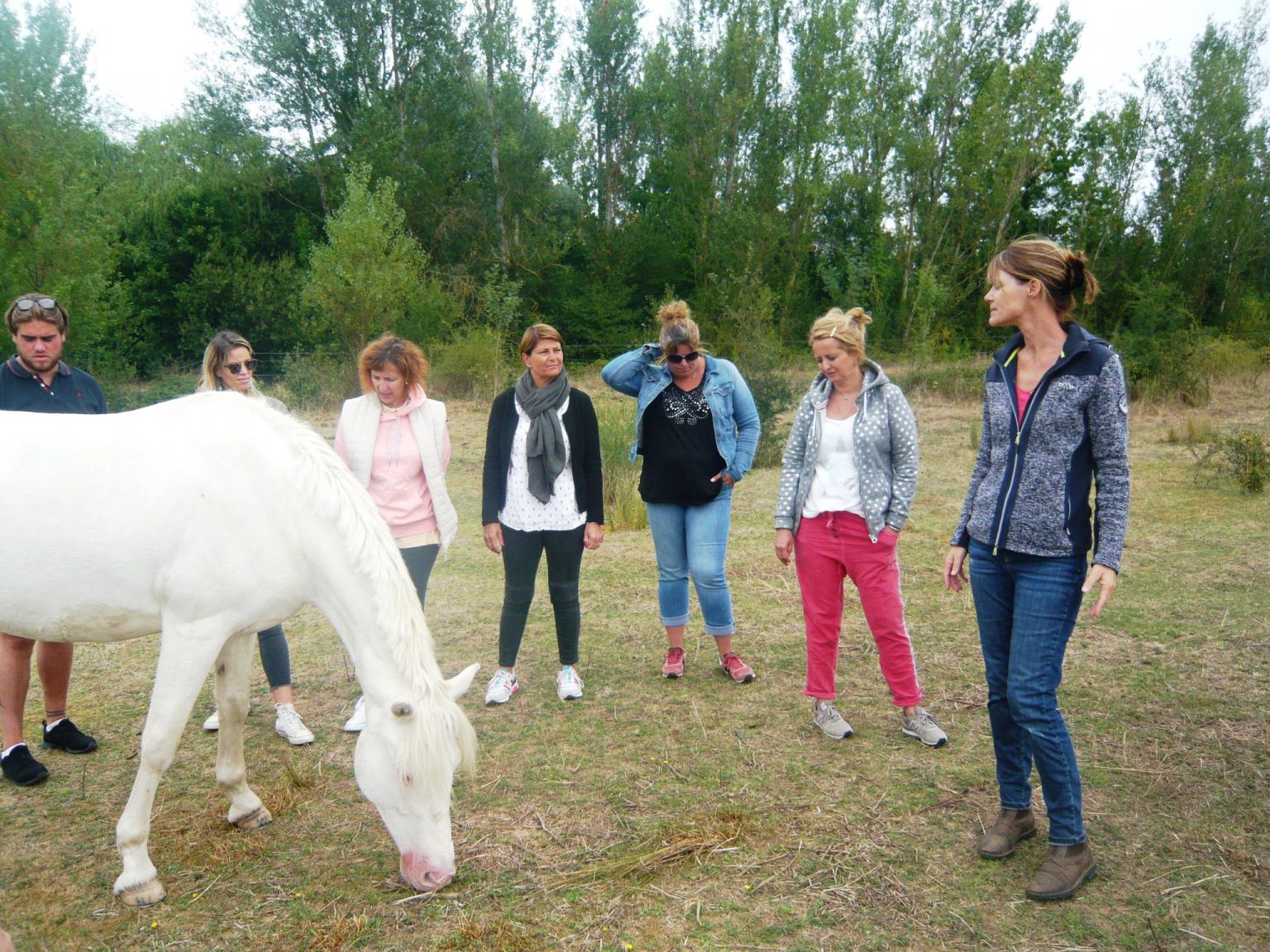 Equi Drive – Spécialiste de L’Equi-coaching