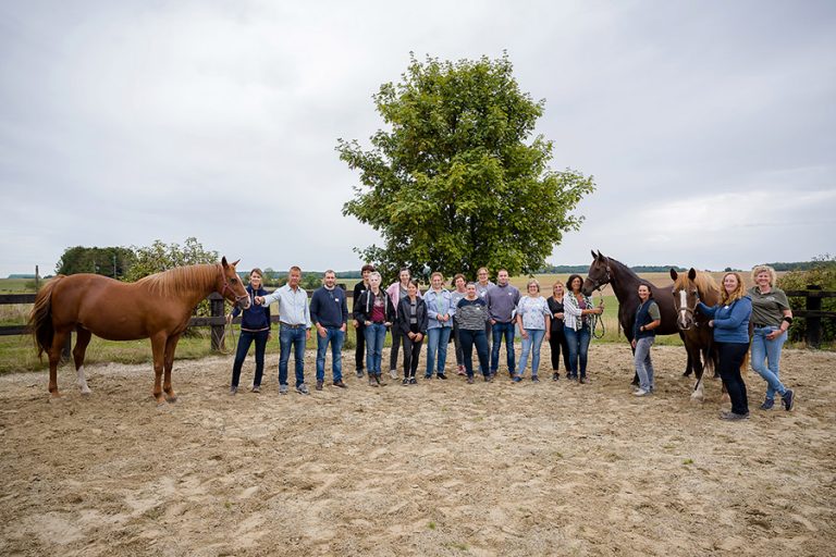 Equi Drive – Spécialiste de L’Equi-coaching